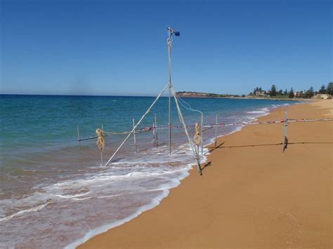 Swash Zone Dynamics Coastal Wiki