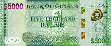 5000 Dollars In 100 Dollar Bills