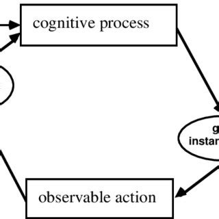 A Complete Activity Cycle Implemented In Model 4 Download Scientific Diagram