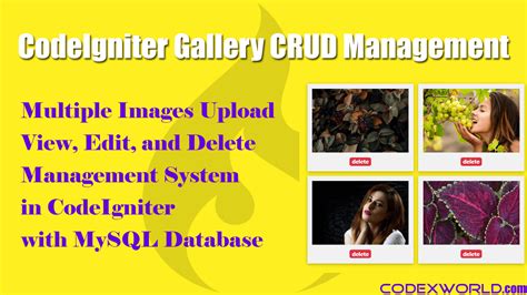 How To Import Csv File Data To Mysql In Codeigniter 4
