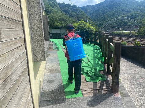 國際貓咪日 新北動保處邀請你到台灣首座貓村網紅景點擼貓