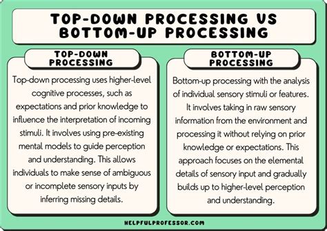 19 Bottom Up Processing Examples 2025