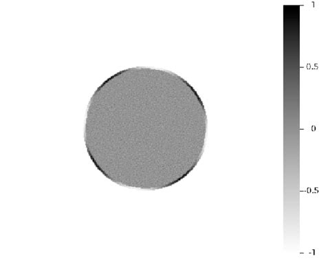 Example Of Initial Perturbation In The Eulerian Lagrangian Simulations