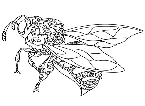 20 Wasp Coloring Pages Free Printable Pdf And Online Coloring