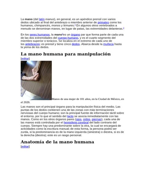 Anatomía De La Mano Humana Pdf Mano Extremidades Anatomía