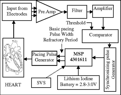 Figure 2 From Design Overview Of Processor Based Implantable Pacemaker Semantic Scholar