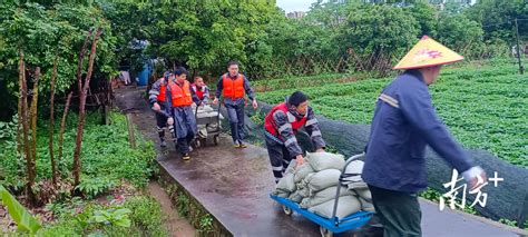 以“迅”防汛！梅江区西郊街道组织党员干部下沉一线筑牢防汛“安全网”群众应急巡查