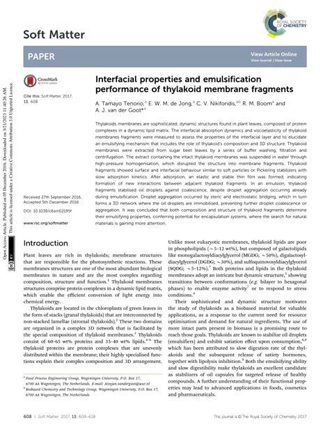 Pdf Interfacial Properties And Emulsification Performance Of Thylakoid Membrane Fragments