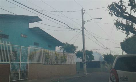 Ciclo de fumigación necesario para erradicar enfermedades