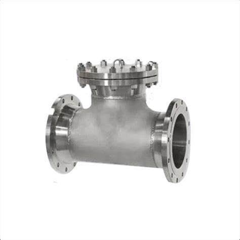 T Type Strainer Industrial T Type Strainer From Gurugram