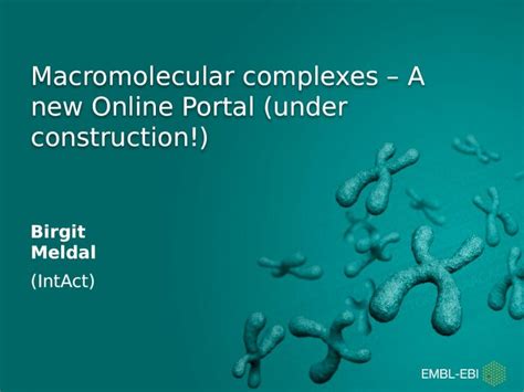 pptx macromolecular complexes a new online portal under