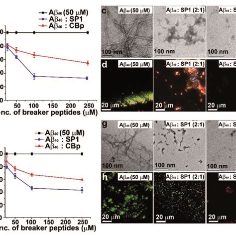 Modulation Of Aβ40 Aggregation A Time Dependent Tht Assay Of Aβ40 In