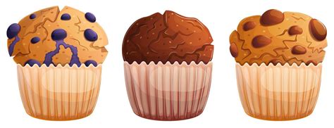 Muffin Type Vector Art Icons And Graphics For Free Download