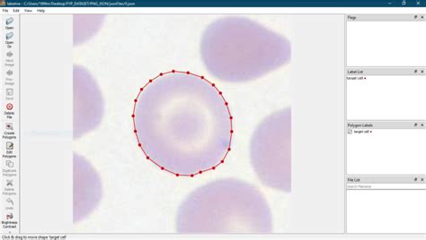 The New AI Based Framework Result Of Polygonal Annotation Of Image