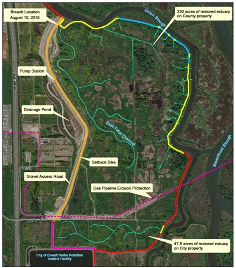 Smith Island Restoration Project Snohomish County Wa Official Website
