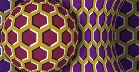 Optical Illusionthis Optical Illusion Which Claims To Be A Test To