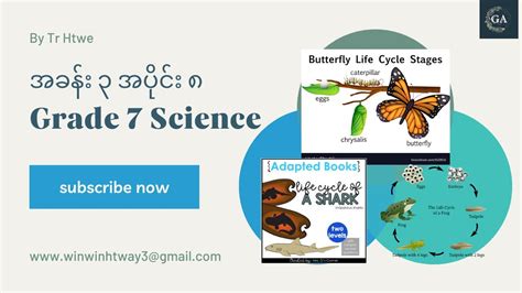 Grade 7 စနစ်သစ် သိပ္ပံ အခန်း ၃ အပိုင်း ၈ Youtube