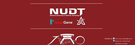 home nudt china igem 2023