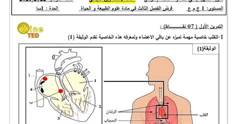 فرض مادة علوم الطبيعة و الحياة للفصل الثالث سنة اولى ثانوي ج م ع تك