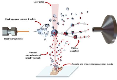 Matrix Assisted Laser Desorption Electrospray Ionization Alchetron