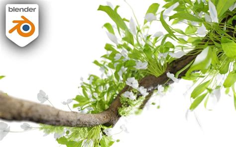 【blender】houdini植物生长教程（geo Nodes 几何节点） 小北侠c 练习 哔哩哔哩视频