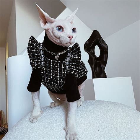 Adorable Cat Dress Sphynx Cat Clothes Hairless Cat Skirt Devon Cat Clothing Cat Suit Etsy