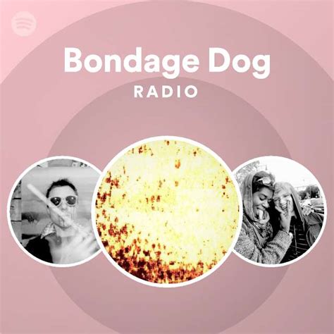 Bondage Dog Radio Spotify Playlist