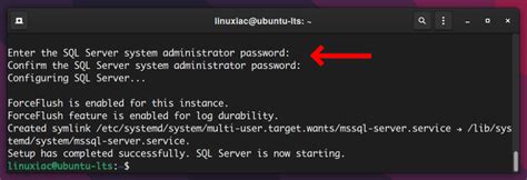 How To Install Sql Server And Sql Server Cli Tools On Ubuntu