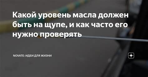 Какой уровень масла должен быть на щупе и как часто его нужно проверять Novate Идеи для