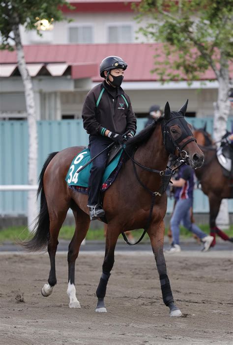 【pog】ブライトサイン 札幌の最後を飾る ルメール「フットワークがいい」 競馬ニュース