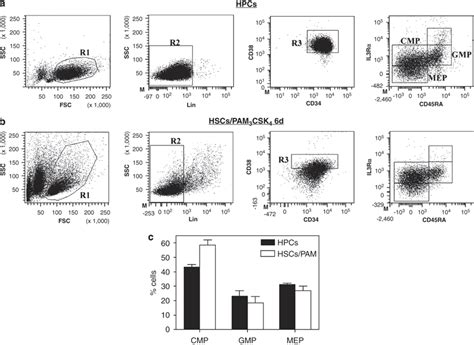 Common Myeloid Progenitor Cmp Granulocyte Monocyte Progenitor Gmp