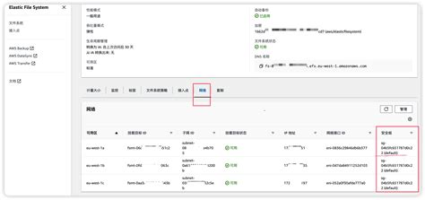 Aws——02篇（aws之服务存储efs在amazon Ec2上的挂载——针对ec2进行托管文件存储）aws Efs Csdn博客