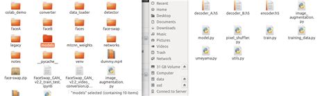 Error Occurs During Weights Loading Weight Files Issue 123
