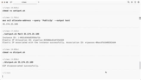 Using A Bash Script To Associate An Elastic Ip Address To An Ec2
