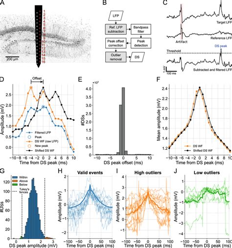 Ds Detection With Artifact Mitigation A Schematics Illustrating The Download Scientific