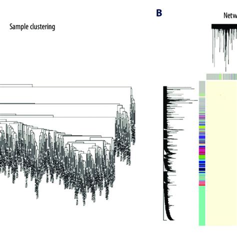 Sample Clustering And Network Heatmap Plot A Sample Clustering For