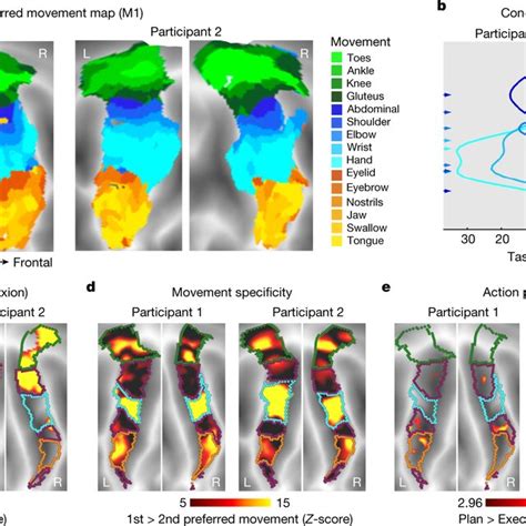 The Interrupted Homunculus An Integrateisolate Model Of Action And