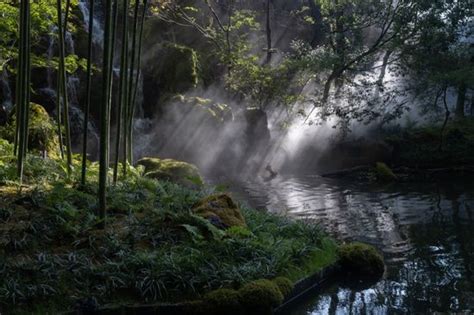 Pin de Shaw Chou en 住宅景观 Paisajismo