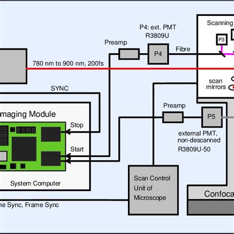 Basic Setup Of The Lifetime Microscope Download Scientific Diagram
