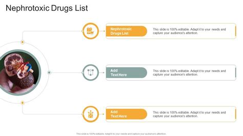 Nephrotoxic Drugs List In Ppt Powerpoint Presentation Slide Templates