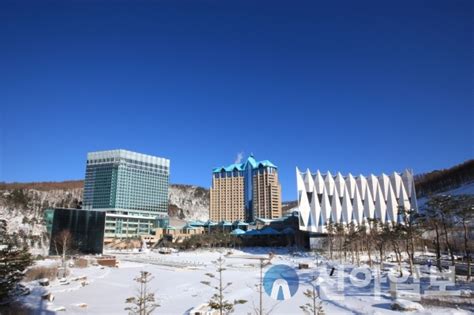 하이원리조트 3월 지역주민 객실 최대 80 특별 할인 신아일보