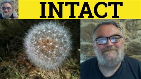 🔵 Intact Meaning Intact Examples Intact Definition Cae Adjectives