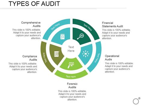 Types Of Audit Ppt PowerPoint Presentation Inspiration Model