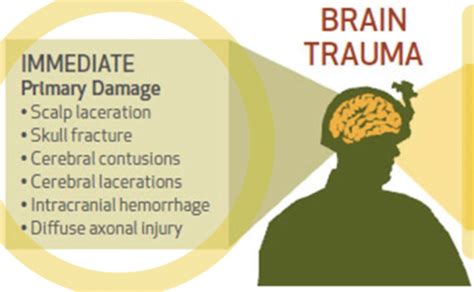 Neuro Final Flashcards Quizlet