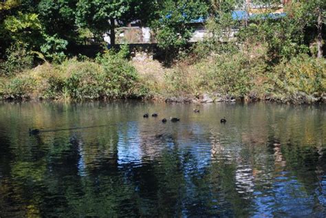 秋の河跡湖公園の探検 年生