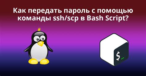 Как передать пароль с помощью команды ssh scp в bash script Блог