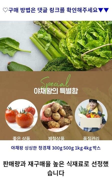 야채왕 싱싱한 청경채 300g 500g 1kg 4kg 박스 청경채2kg 가성비 꿀맛 Shorts 내돈내산video Youtube