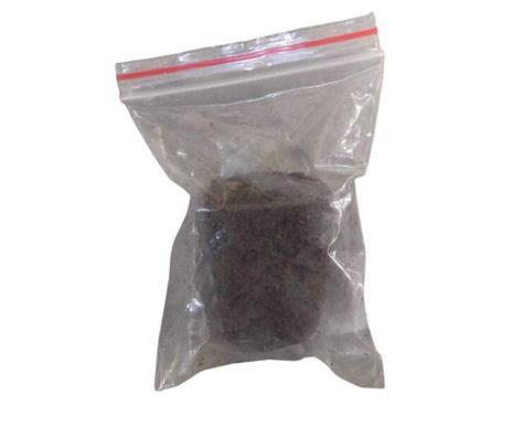 საჩითილე ტორფის ღრუბელი 5 სმ