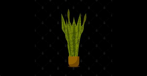 Mother In Laws Plant Mother In Law S Plant Sticker Teepublic