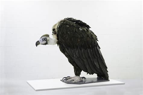 Sun Yuan And Peng Yu Pinault Collection